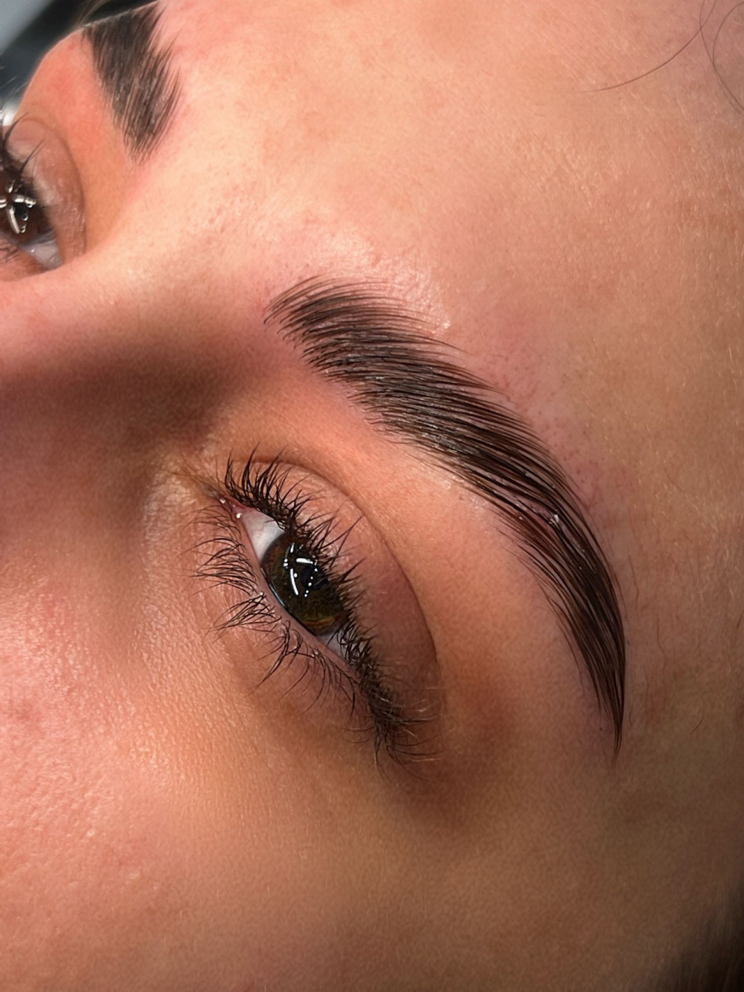 Brow lift - Alexandria Brow&Beauty lounge, Beograd Obrve #WM6LD1 - SrediMe