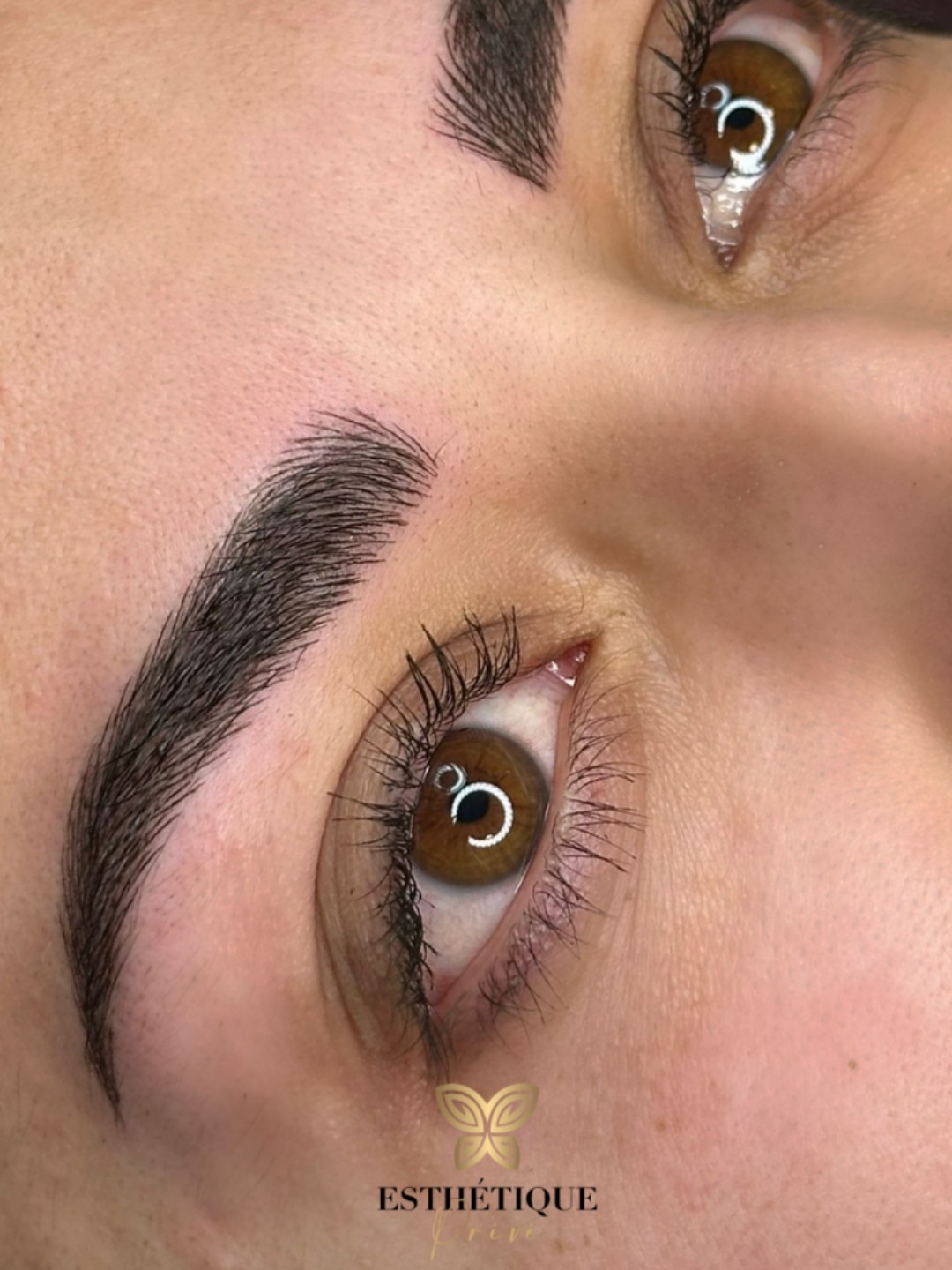 Trajna šminka obrva - PHI BROWS + SHADING - kombinovana tehnika ...
