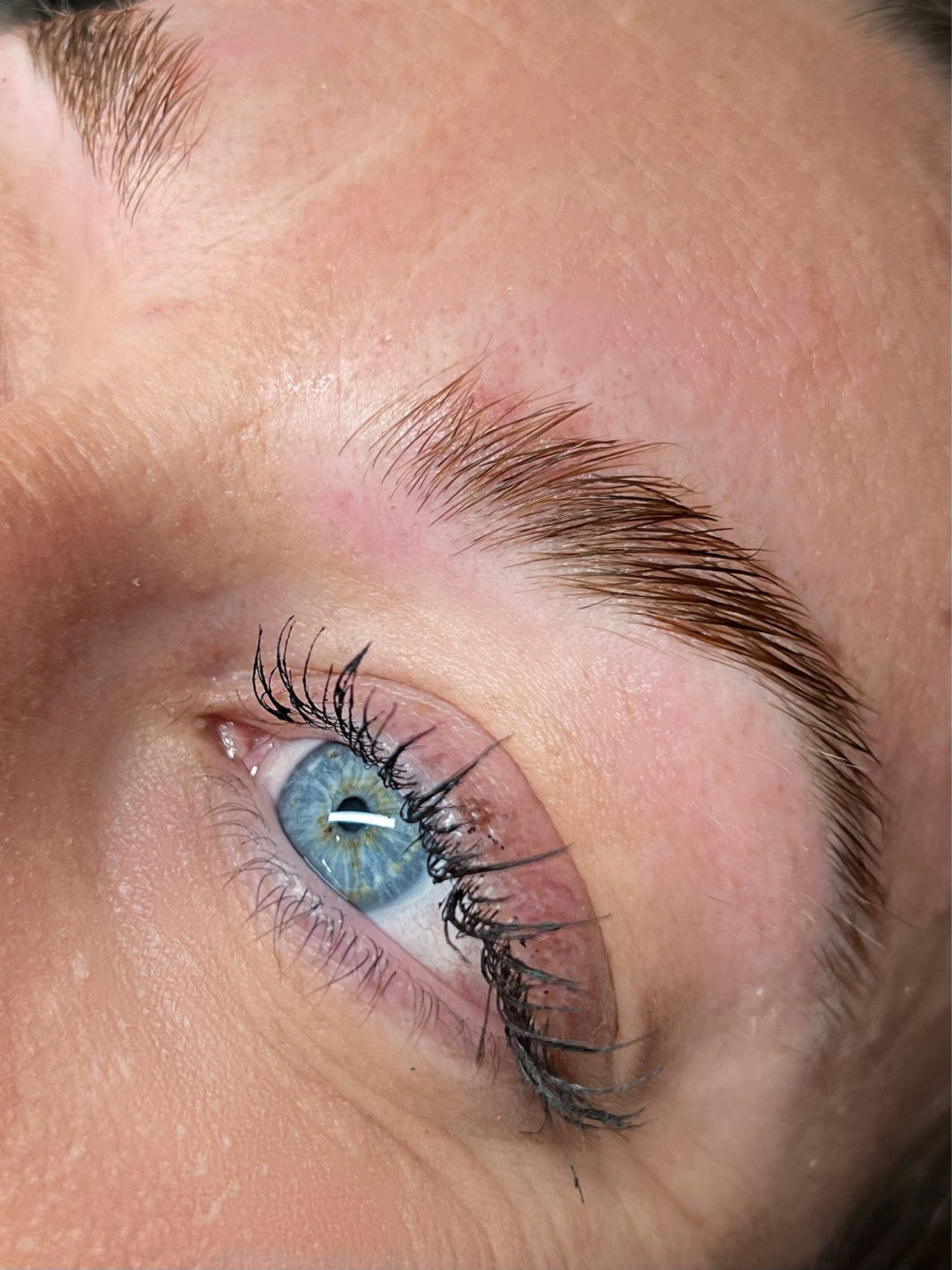 Brow lift - Alexandria Brow&Beauty lounge, Beograd Obrve #3Y5VDY - SrediMe