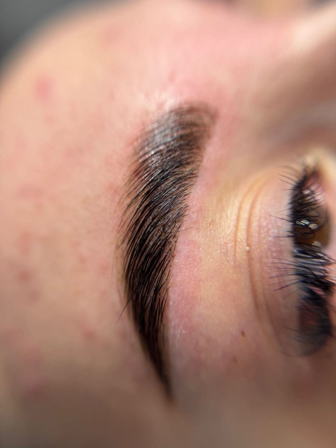 Laminacija obrva + farbanje obrva kanom + botox - Alexandria Brow ...